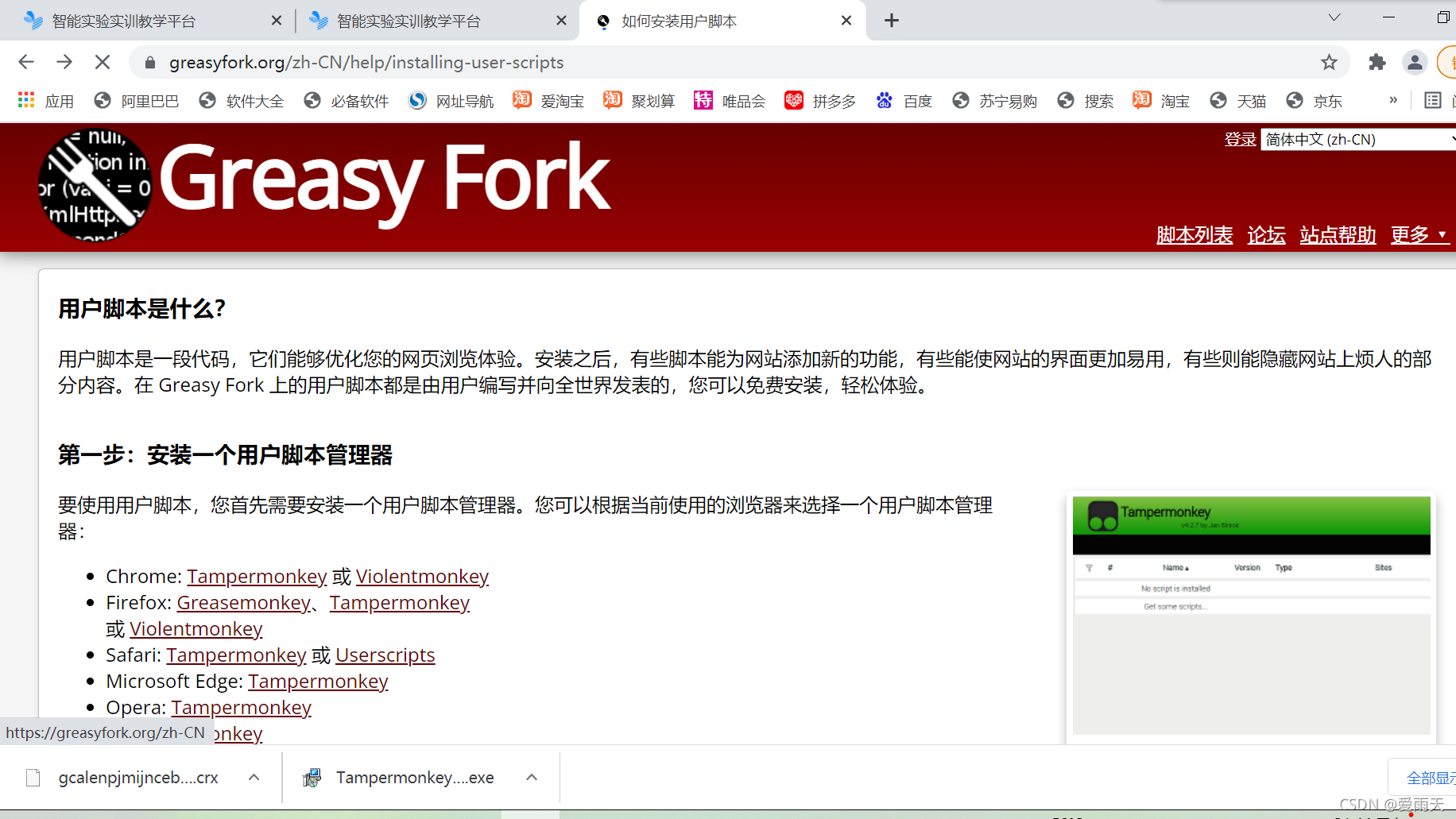 用户脚本安装教程：从Tampermonkey到Greasyfork-CSDN博客