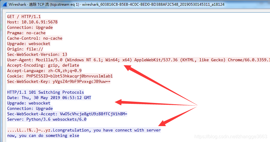Python3+WebSockets实现WebSocket通信_python websockets.connect 代理-CSDN博客