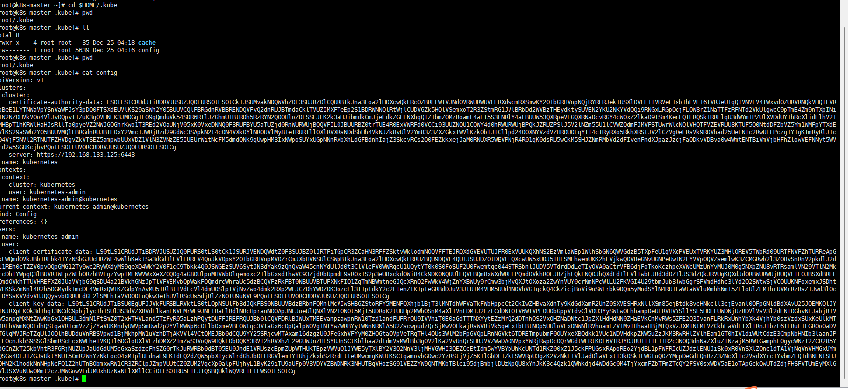 kubectl学习_kubectl 配置文件-CSDN博客
