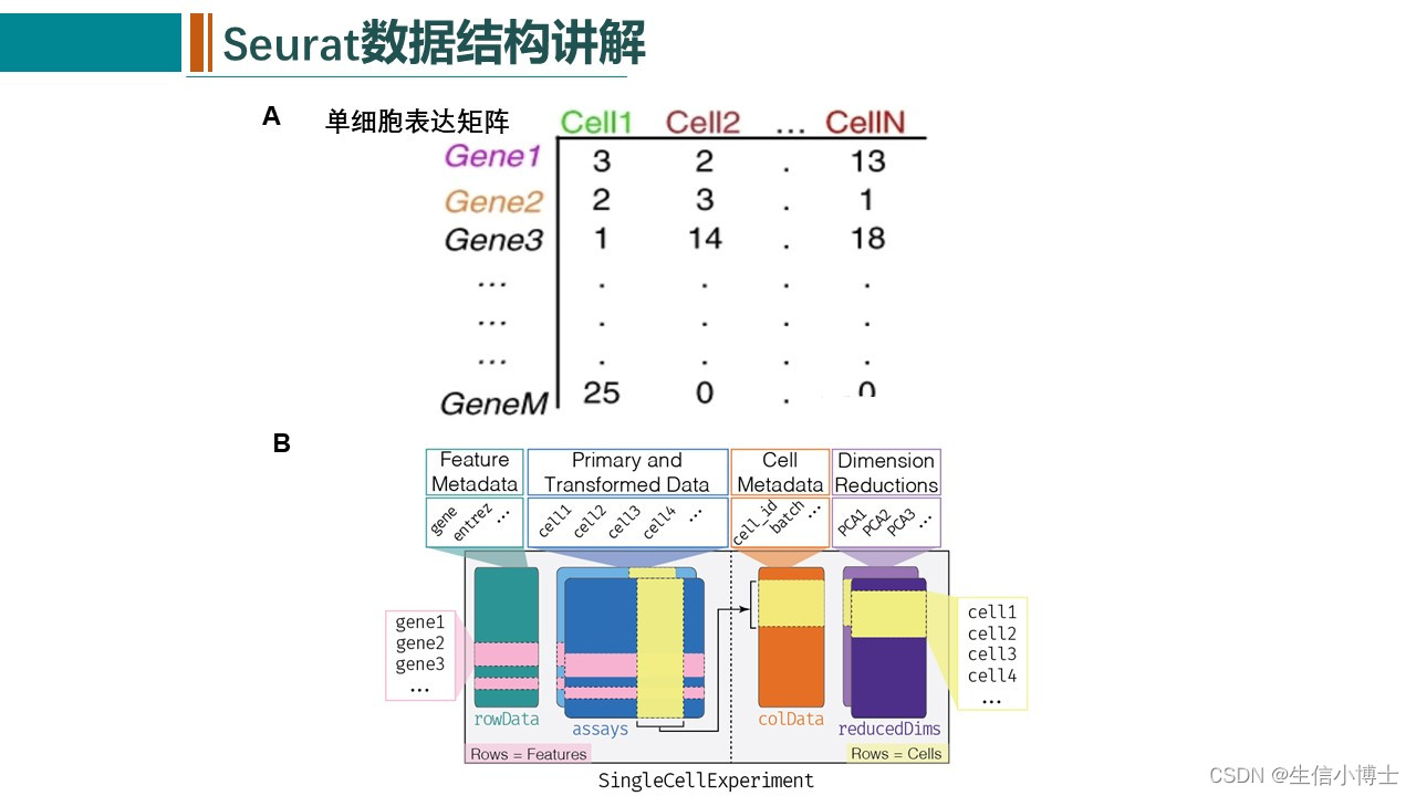 2023-11-28-直播单细胞图表美化-seurat数据结构 featureplot dotplot vlnplot_nebulosa如何分组-CSDN博客