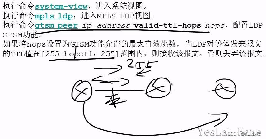 3.LDP扩展特性_扩展的ldp-CSDN博客