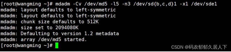 Linux：RAID磁盘阵列_linux查看raid信息命令-CSDN博客