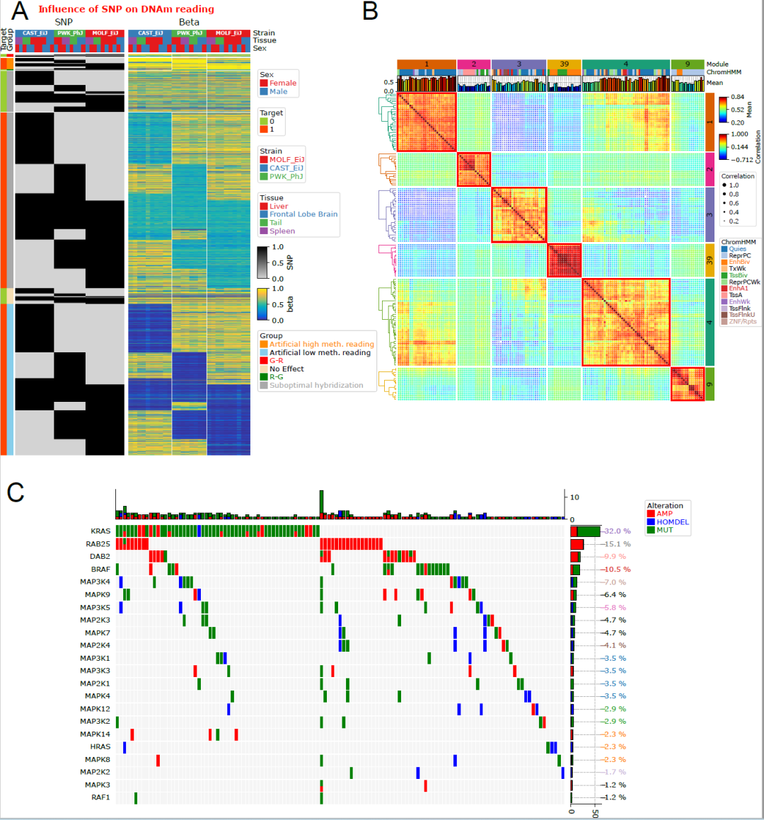 Imeta 丁武斌等开发可视化多维度数据复杂热图python包pycomplexheatmap Csdn博客