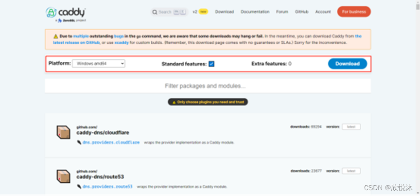 Windows服务Nssm与Caddy2反向代理_caddy windows-CSDN博客