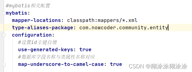 Spring-boot集成Mybatis踩坑：不能找到@MapperScan标签_mapperscan注解找不到-CSDN博客