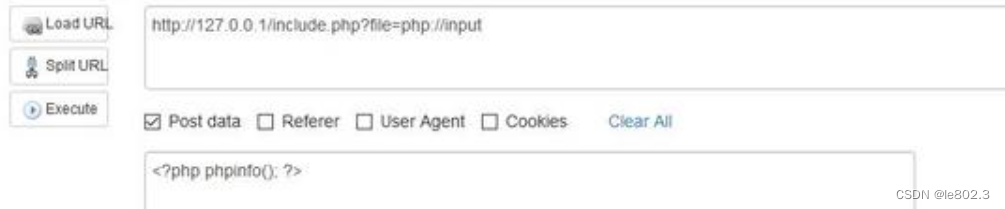 【CTF】ctf中用到的php伪协议总结及例题（持续更）_ctf php伪协议-CSDN博客