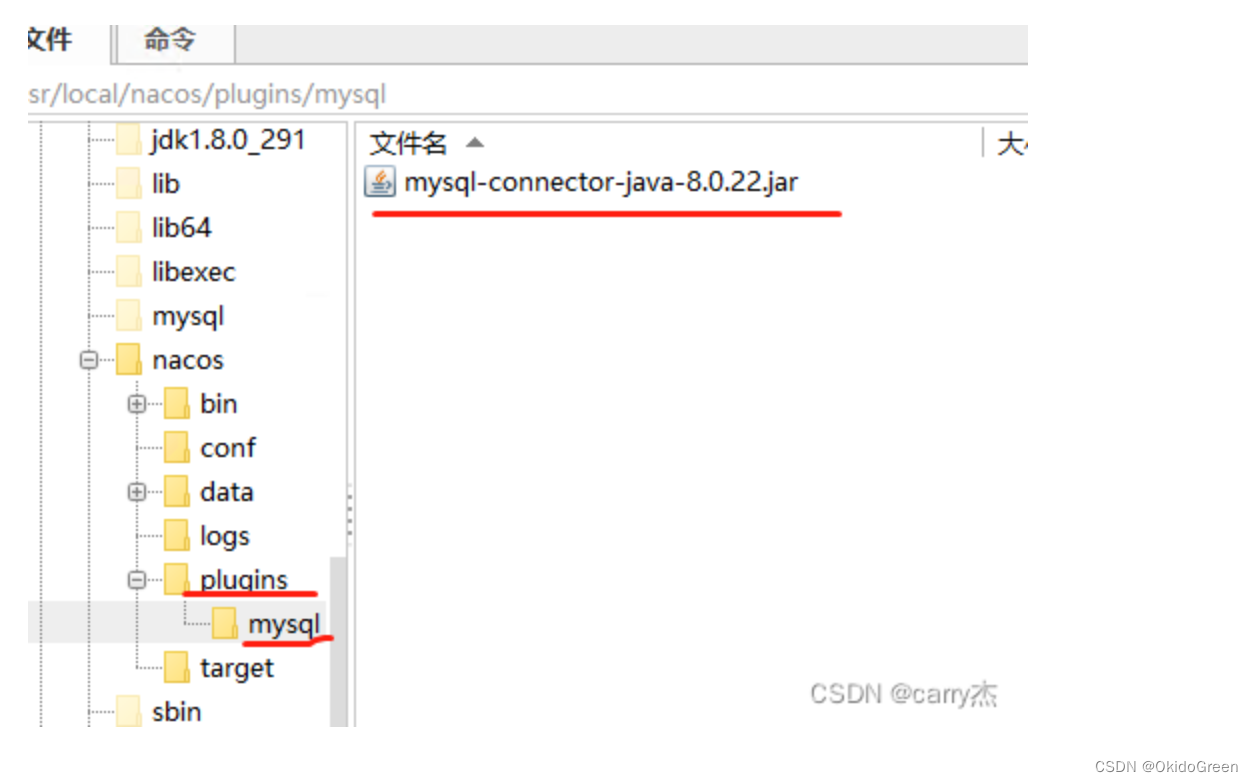 nacos 部署 Could not retrieve transation read-only status server_nacos could not retrieve ...