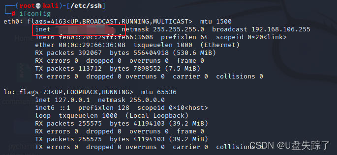 xshell 连接kali_xshell连接kali-CSDN博客
