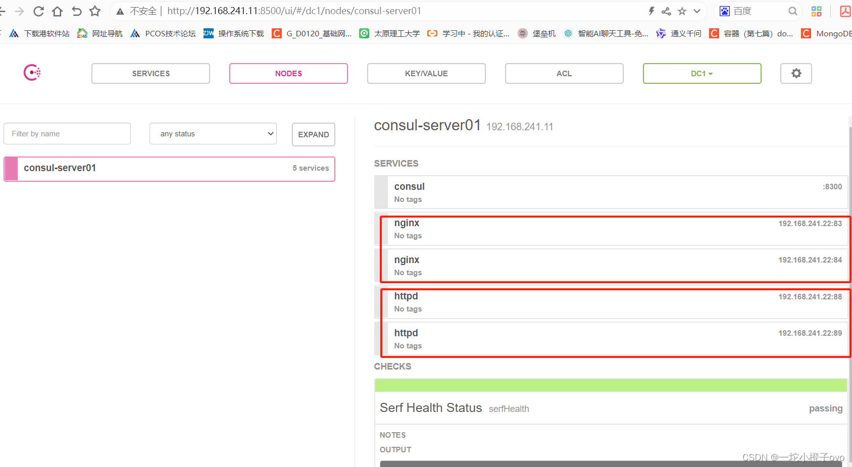 Docker-Consul——服务管理_docker 启动consul-CSDN博客
