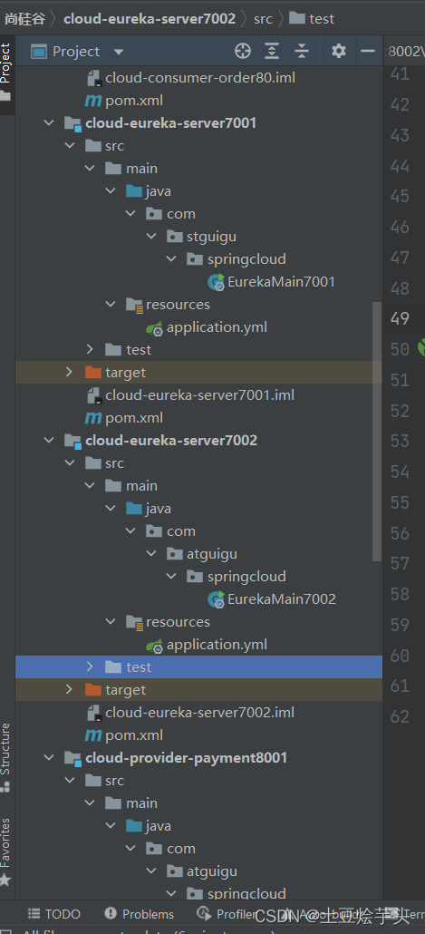 尚硅谷(SpringCloudAlibaba微服务分布式）学习代码Eureka部分_尚硅谷spring cloud2024作业-CSDN博客