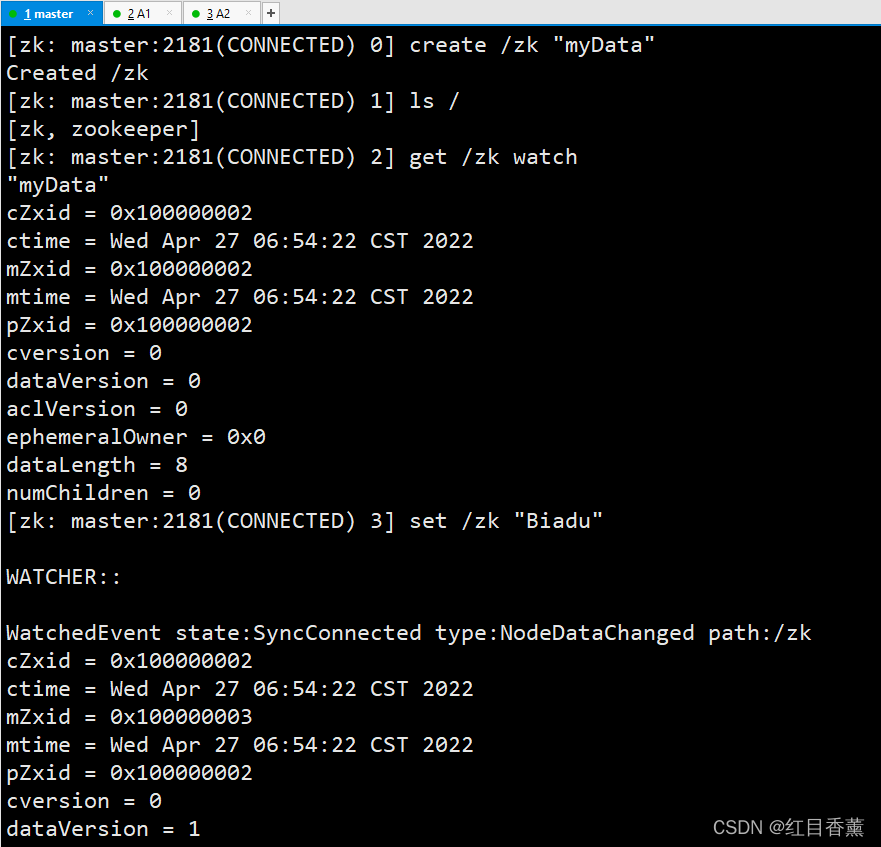 Hadoop快速入门——第四章、zookeeper(集群)_hadoop集群 zk-CSDN博客