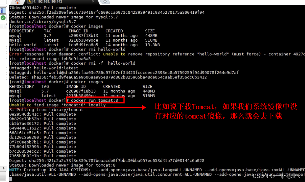 Docker常用命令_docker rmi-CSDN博客
