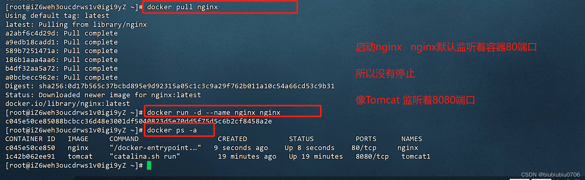 Docker笔记_centos-base.repo-CSDN博客