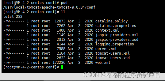 Linux centos7.0搭建Java开发环境(保姆级教程)_centos7 java-CSDN博客