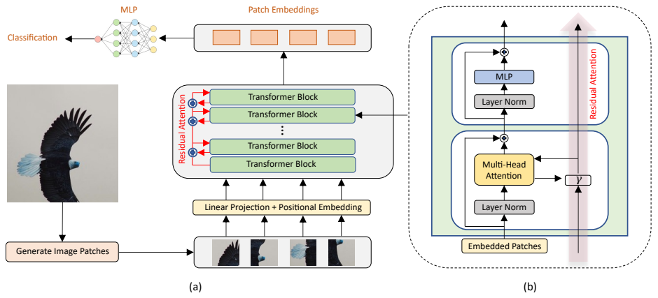 ViT再升级！9个视觉transformer最新改进方案让性能飞跃_vision transformer 改进-CSDN博客