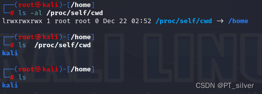 Linux的/proc/self/学习_flag常存放在proc里-CSDN博客