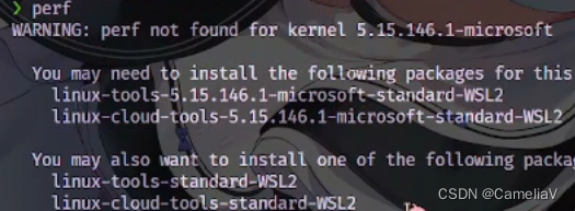 [debug]WSL2安装使用Perf WARNING: perf not found for kernel microsoft unable to locate linux tools ...