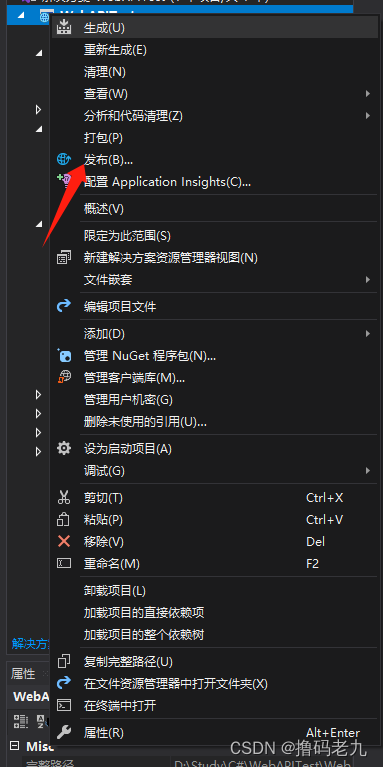 ASP.Core3.1 WebAPI 发布到IIS_netcoreapp3.1-CSDN博客