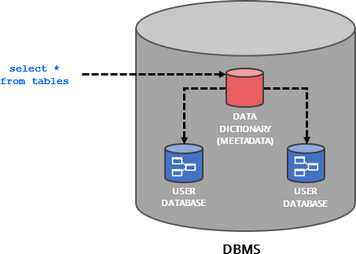 plsql中dbms元数据_DBMS中的元数据–概述和类型-CSDN博客