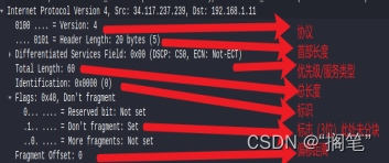 TCP/UDP/ARP/DNS/HTTP/帧的包头解析（保姆级分析）_tcp包头-CSDN博客