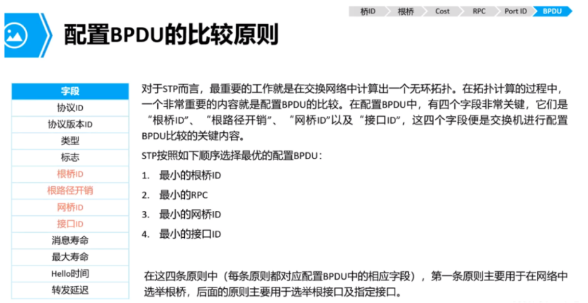 深入解析STP、OSPF、ISIS协议及BGP路由属性：原理、LSA/LSDB同步与路由策略,-CSDN博客