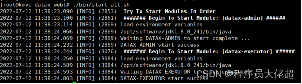 DataX 及 DataX-Web 安装使用详解_data-web本地如何使用-CSDN博客
