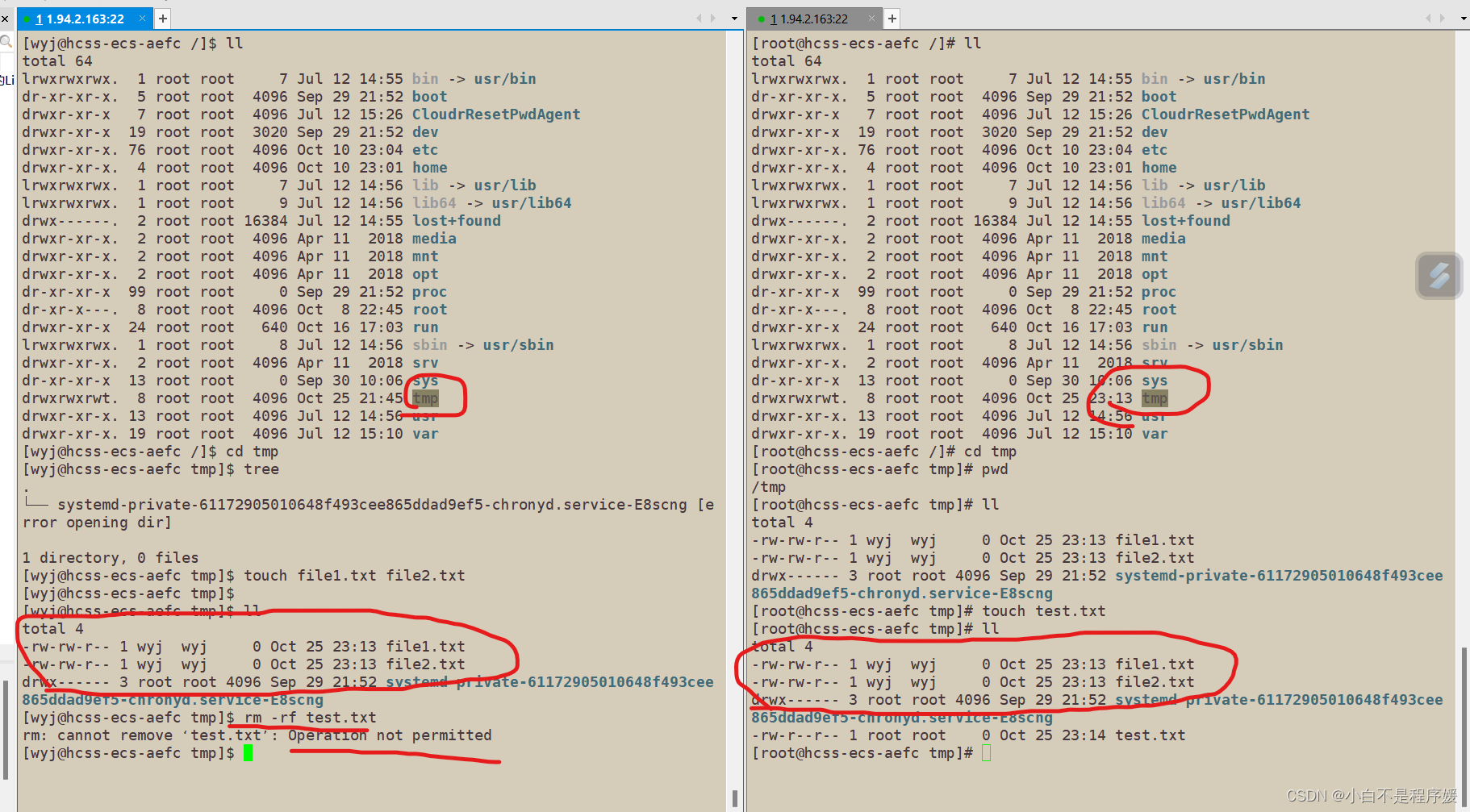 Linux权限管理：chown,chgrp,file与粘滞位详解,-CSDN博客