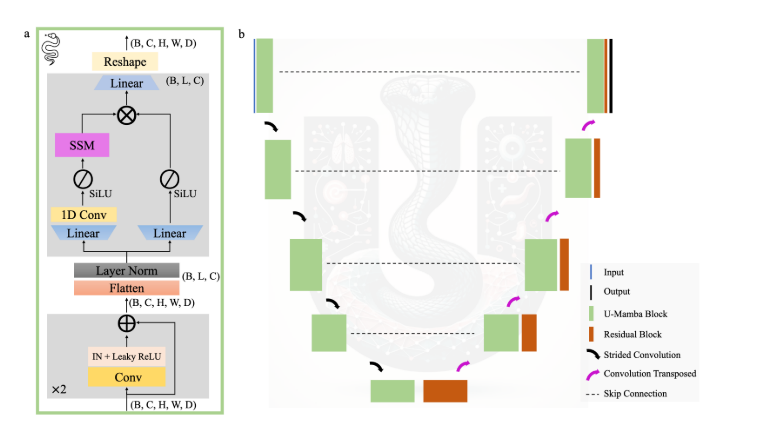 日常阅读论文——U-Mamba-CSDN博客