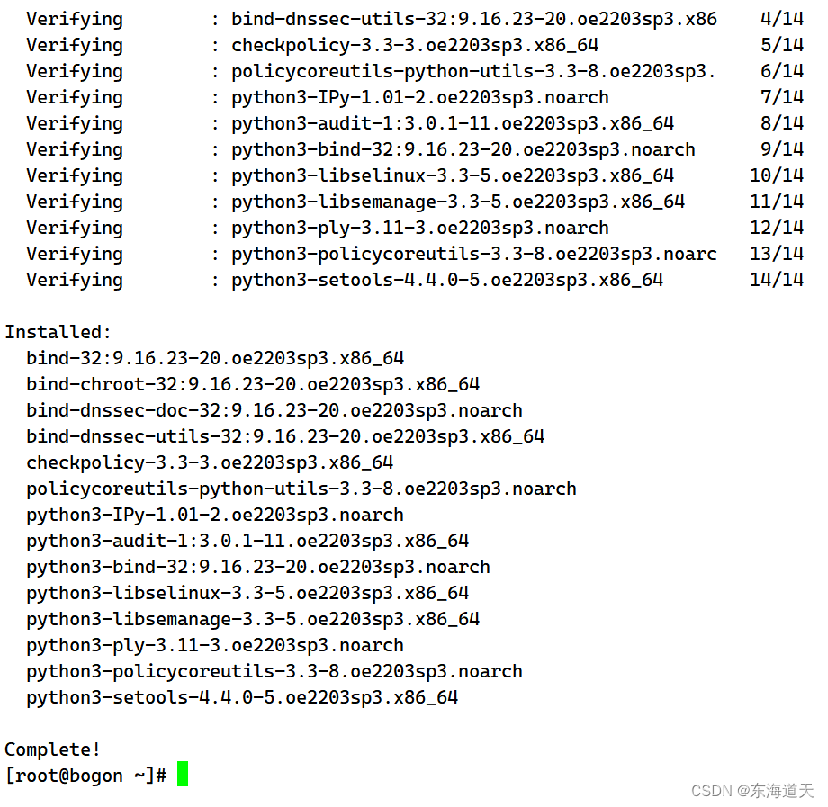 Linux下配置bind与bind-chroot服务-CSDN博客