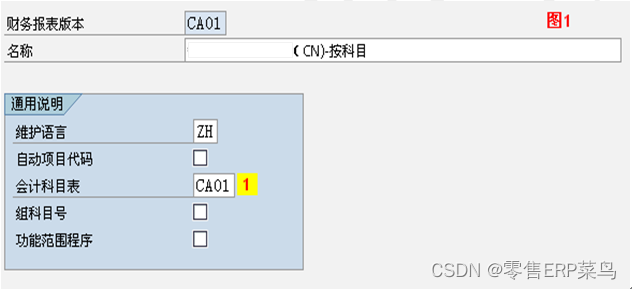SAP-FI配置与业务解析之财务报表版本_sap fse2-CSDN博客