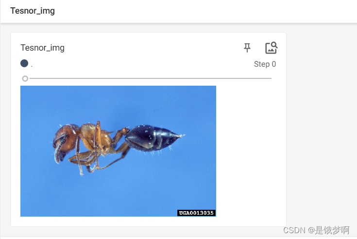 【pytorch】tensorboard + transforms的使用_transformers use tensorboard-CSDN博客