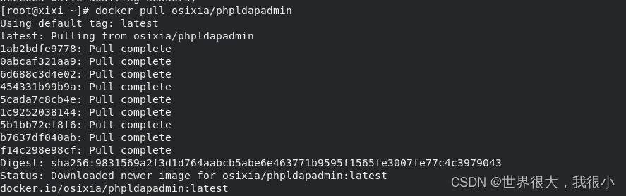 docker部署ldap(从docker安装到ldap创建用户)_docker ldap-CSDN博客