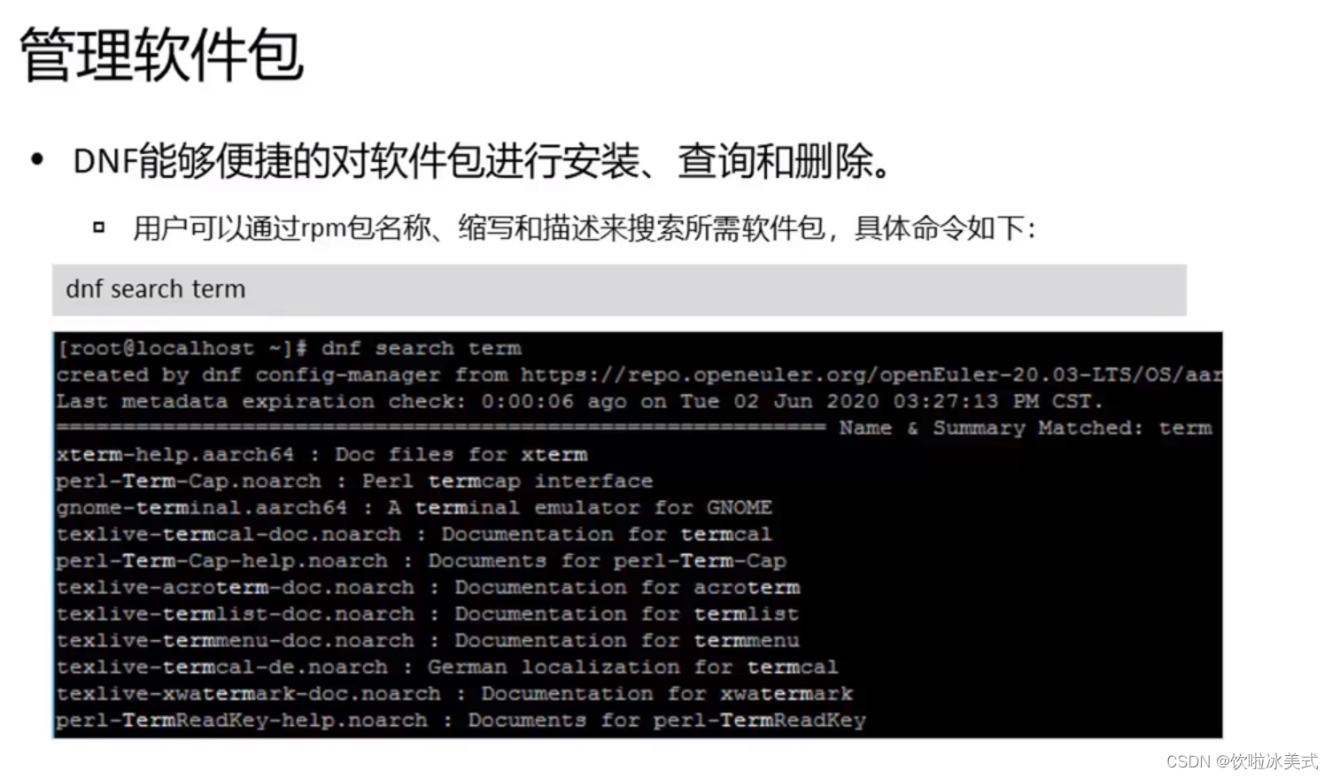 Linux包管理：使用dnf配置RPM软件源,-CSDN博客