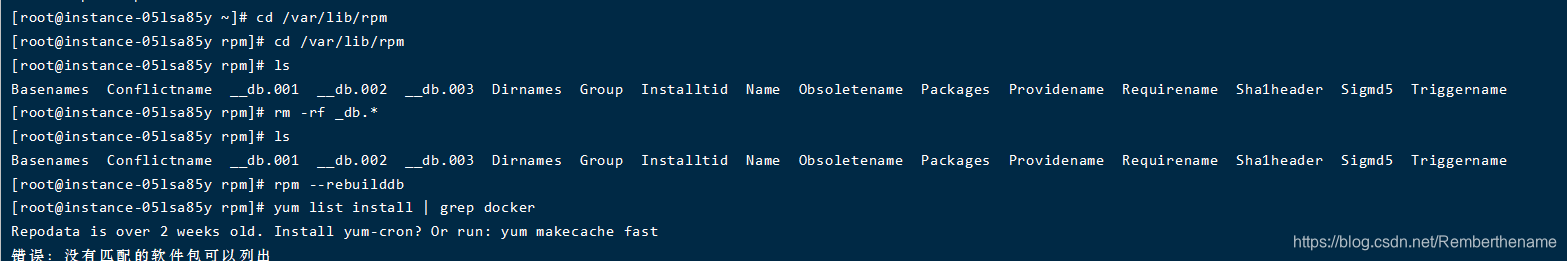 linux下使用yum命令提示错误：无法使用 db5 - (-30973) 打开 Packages 索引_无法使用 db5 - 权限不够 (13) 打开 packages 索引-CSDN博客