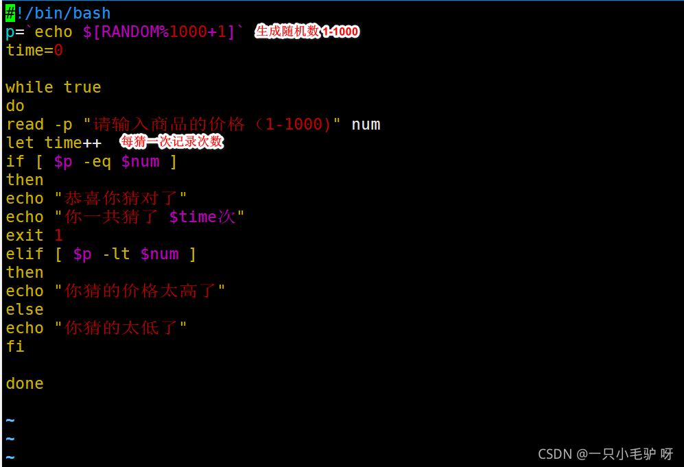 for、while、until 循环语句_for until-CSDN博客
