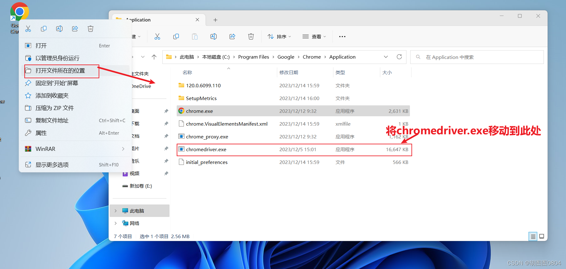 Selenium 安装 webDriver （chromedriver版）_webdriver.chrome.driver-CSDN博客