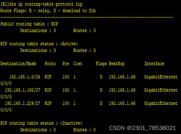 配置RIPv2动态路由及网络安全性实践-CSDN博客