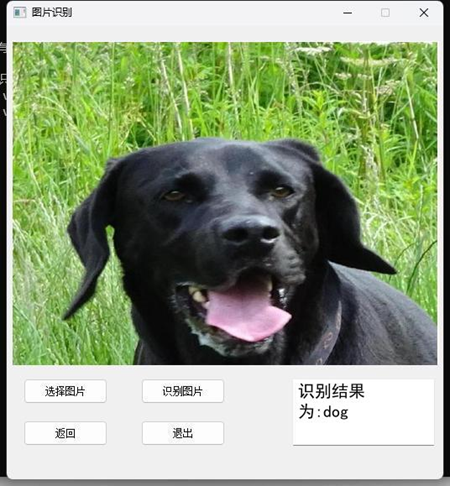 python-CNN快速入门图像识别含数据集训练+pyqt界面-CSDN博客