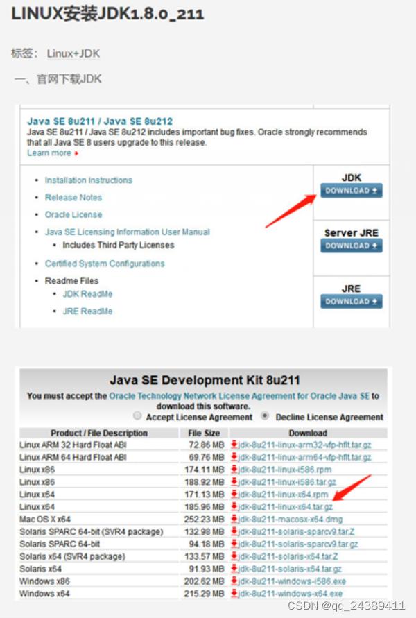 DM DEM部署-CSDN博客