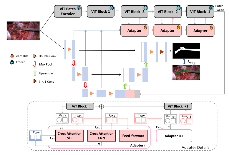 【论文阅读笔记】Enhancing Surgical Instrument Segmentation: Integrating Vision Transformer Insights with ...