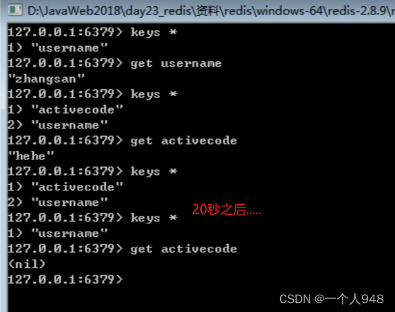 Java客户端 Jedis_jedis java-CSDN博客
