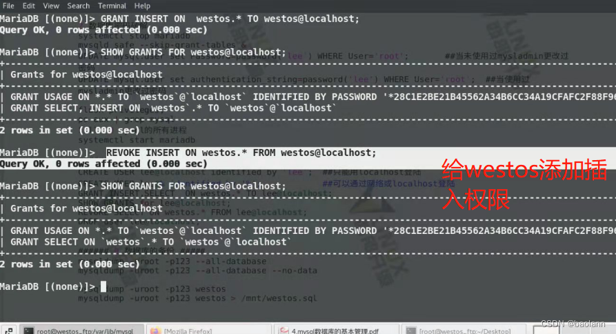 Mysql数据库的基本管理mysql 本地管理 Csdn博客