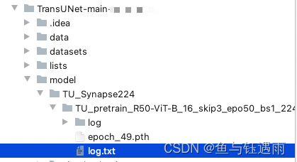 复现TransUnet官方代码用于训练自己数据集-超详细实操和debug记录_transunet训练自己的数据集-CSDN博客