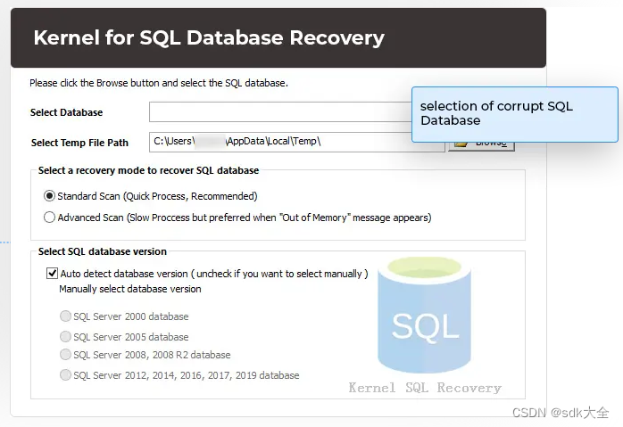 SQL恢复软件：Kernel for SQL Database 21.1_kernel for sql database recovery-CSDN博客