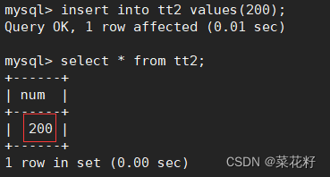 【MySQL】:数据类型_mysql decimal(5,2)-CSDN博客