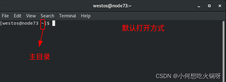 复习之 Linux中的名词解释”和 Shell基础”解释名词gnu、shell、kernel、home、kde Csdn博客