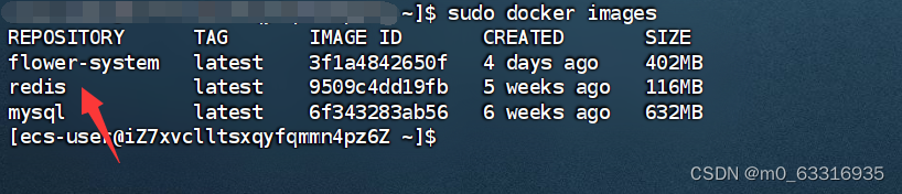 在Linux上使用Docker部署Redis_linux docker redis-CSDN博客