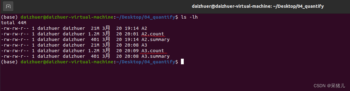 零基础入门转录组上游分析——第五章（表达定量）_--countreadpairs-CSDN博客