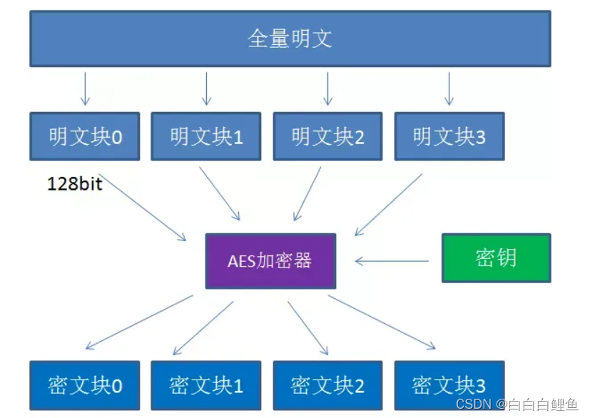 SpringBoot + Vue 实现 AES 加密和 AES 工具类总结_vue aes加密-CSDN博客