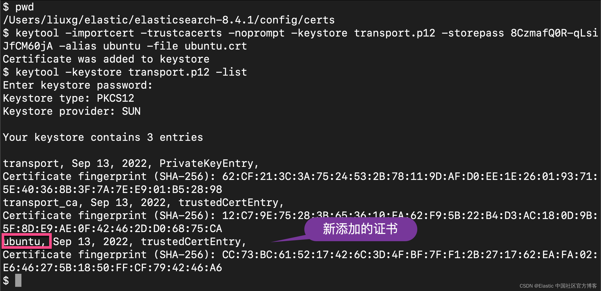 Elasticsearch：如何在不更新证书的情况下为集群之间建立互信_keystore list-CSDN博客